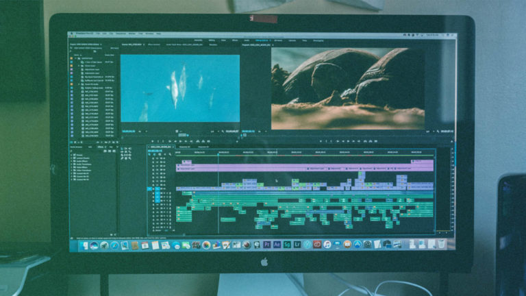 The 5 Stages of Video Editing for Beginners | Motion Array