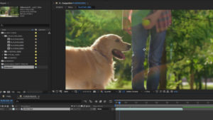 27 Most Popular Teaser Templates for After Effects Film Editors ...