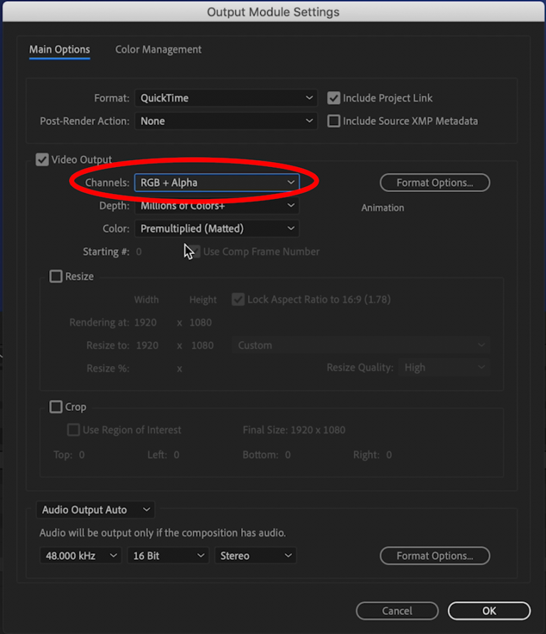 How To Render & Export in After Effects: A Tutorial with Tips | Motion ...