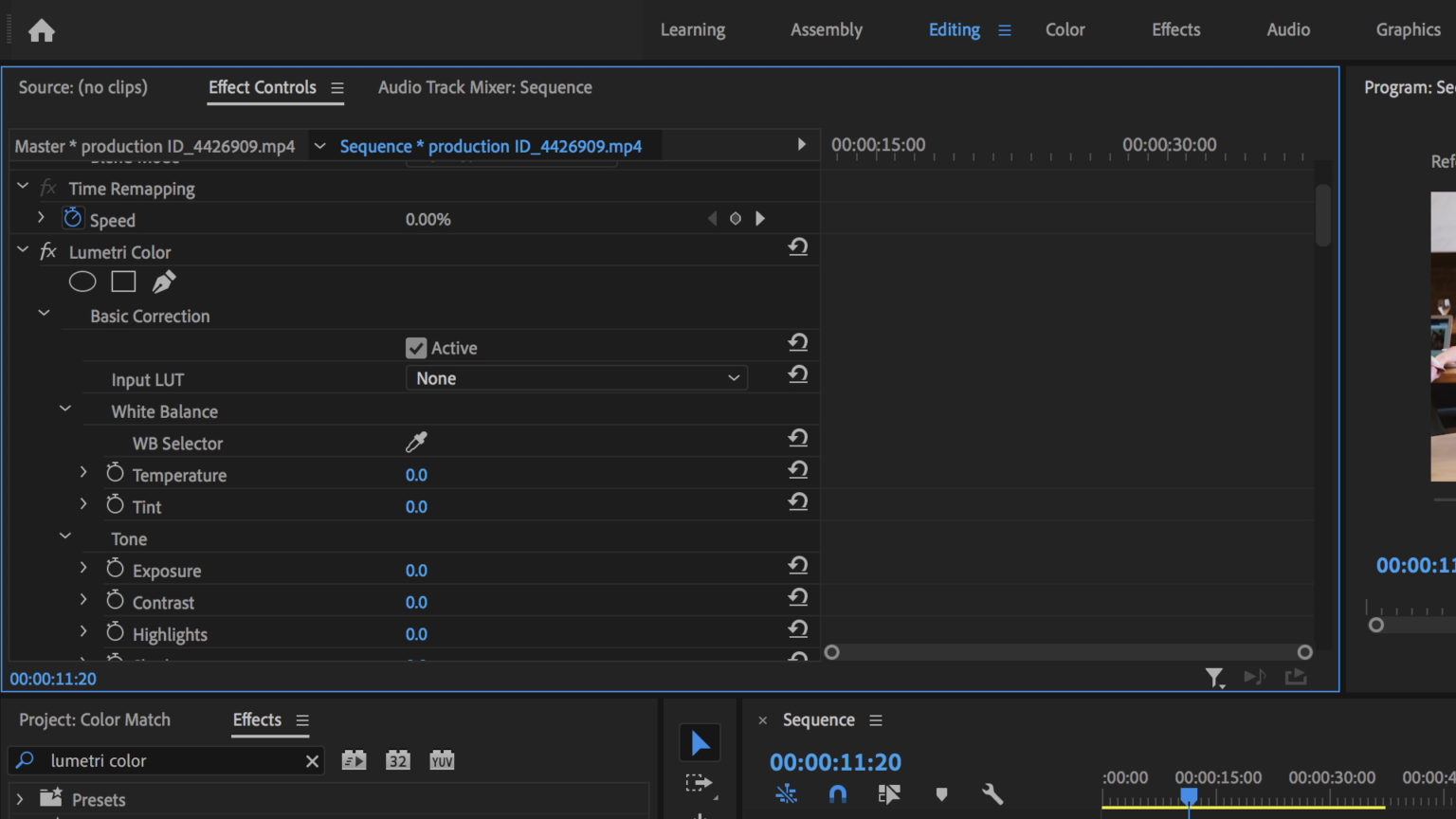 Using 2 Cameras? Color Match in Premiere Pro | Motion Array