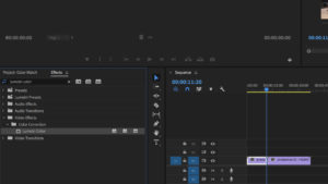 Using 2 Cameras? Color Match in Premiere Pro | Motion Array