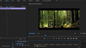 Create Cinematic Letterbox 1080p Videos in Premiere Pro - Motion Array