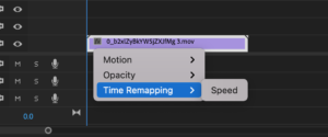 How to Use Speed Ramping in Premiere Pro | Motion Array