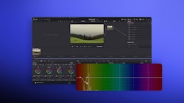 Learn To Restore And Recover Color In DaVinci Resolve 17 Motion Array