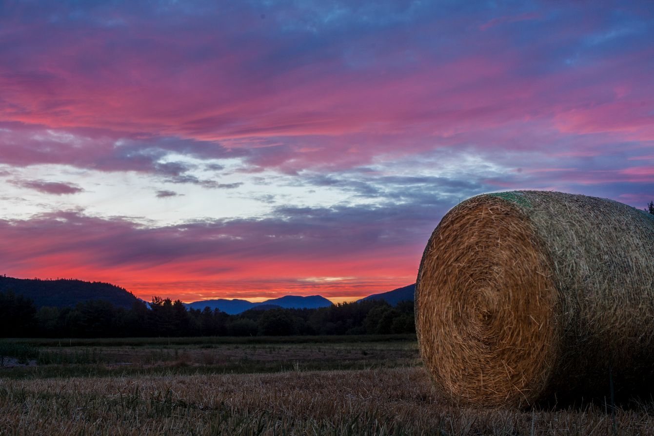 Learn 7 Essential Camera Angles for Photography - Motion Array