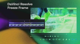 How To Freeze Frames Export Stills In DaVinci Resolve 17 Motion Array