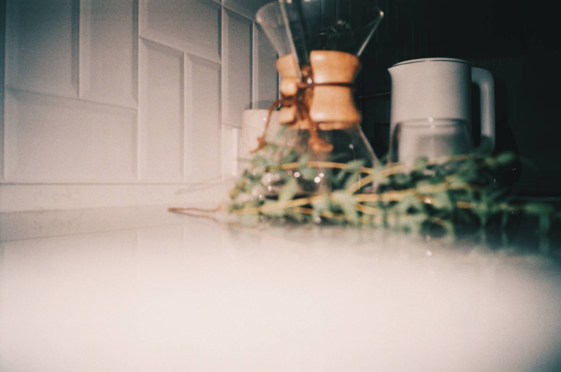 Back to Basics: Film Photography for Beginners (Pro Tips) - Motion Array