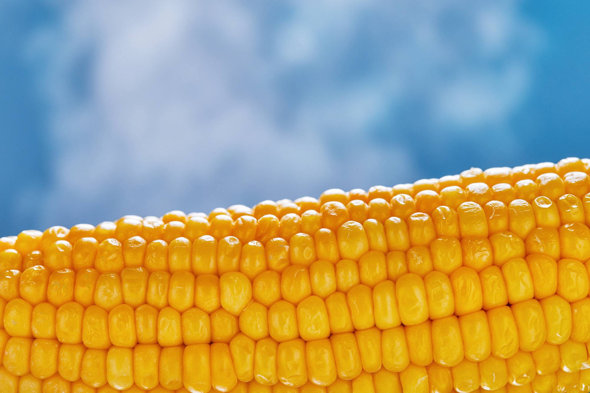 A Balancing Act: Use Balance in Photography to Create Beautiful Images ...