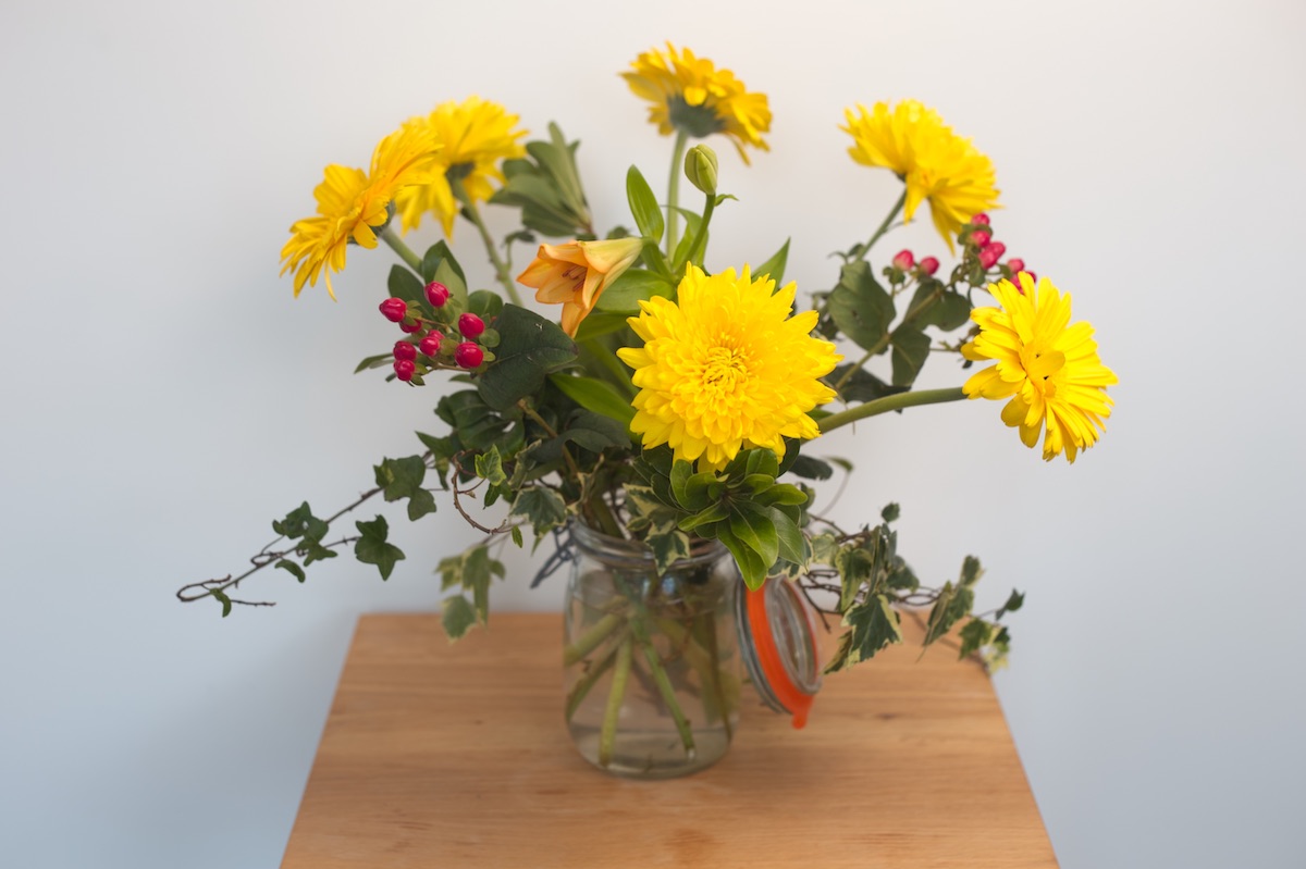 Let Your Flower Photography Blossom: Top 15 Beginner Tips & Techniques ...