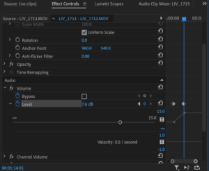 Learn 6 Useful Audio Effects in Premiere Pro to Improve Audio Quality ...