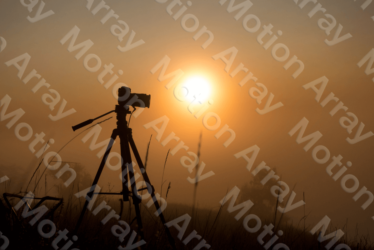 Photography Insurance: A Beginner's Guide - Motion Array