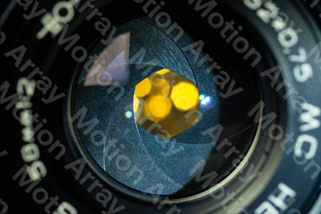 Photography Insurance: A Beginner's Guide - Motion Array